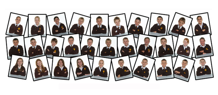 Braiswick Online Orders